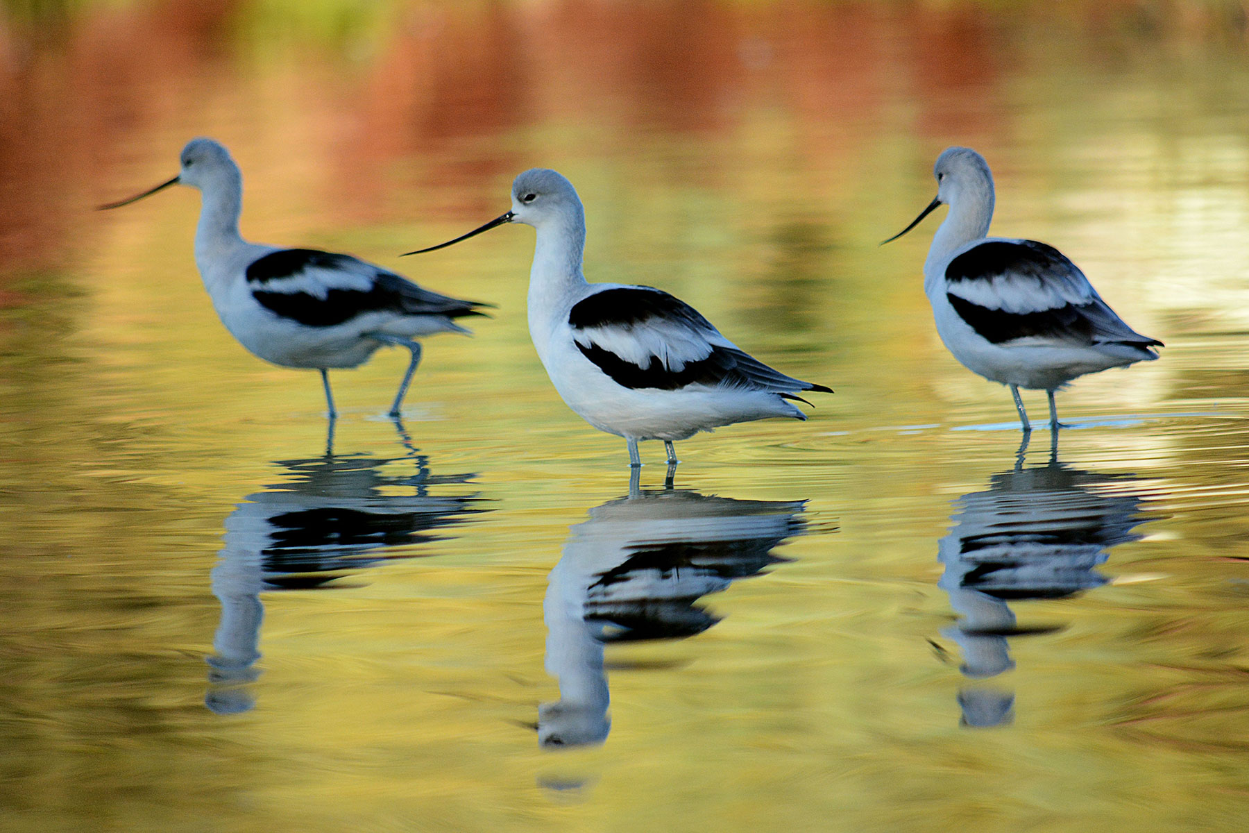 Student Photo Contest | Arizona Highways