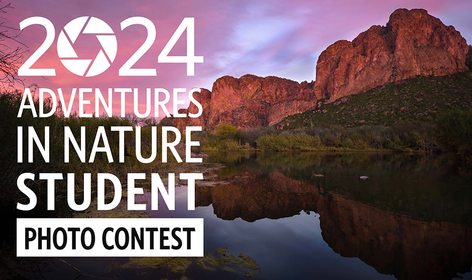Photo Contest | Arizona Highways