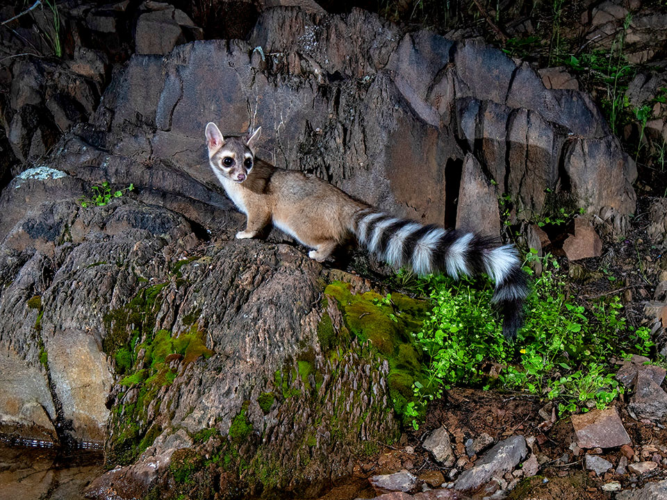 Photo Contest | Arizona Highways