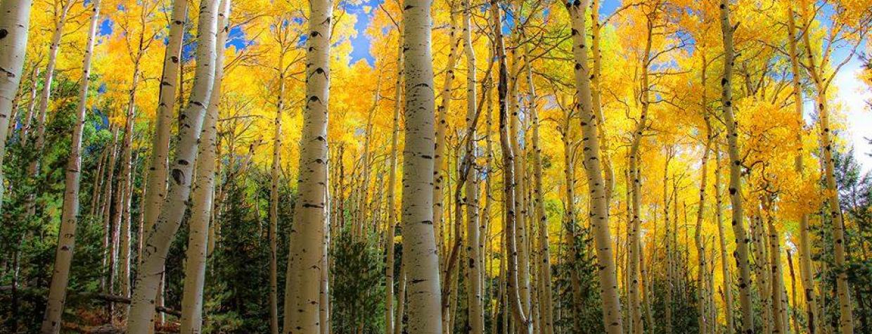 Is Your Favorite Trail One of Arizona's 100 Best? | Arizona Highways