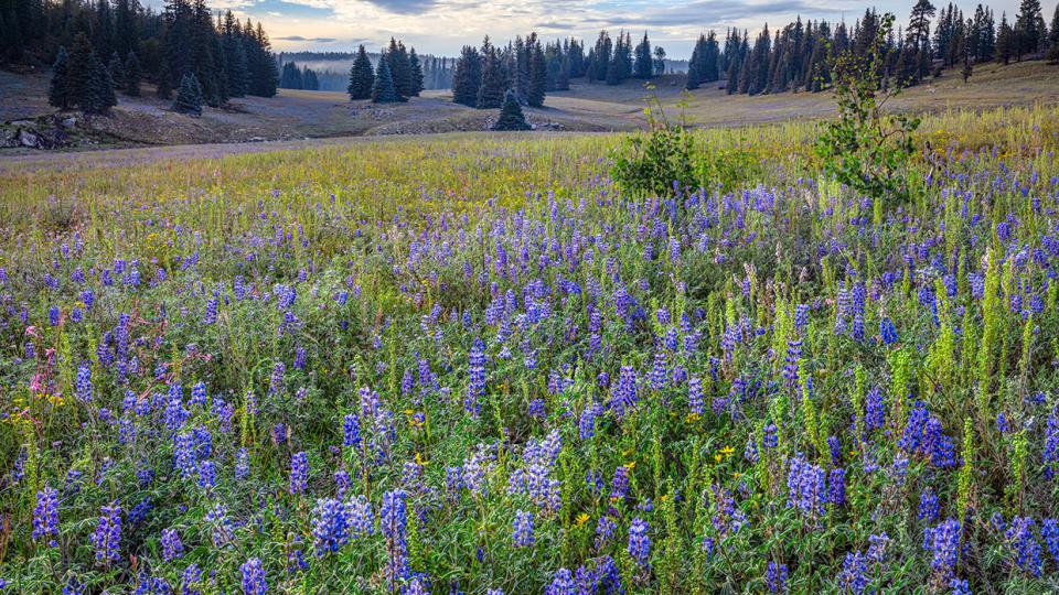 Explore Arizona | Arizona Highways