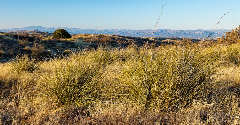 Arizona Trail Loop | Arizona Highways