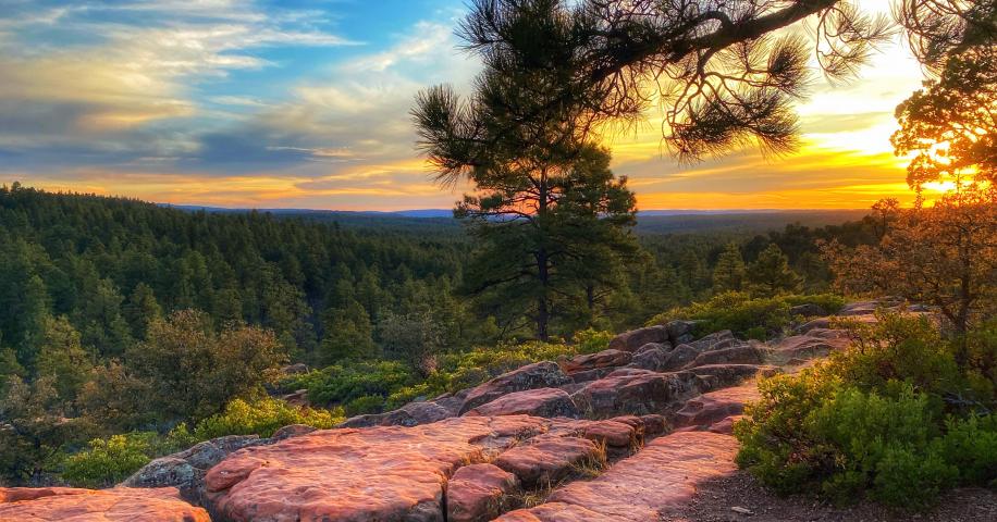 Town of Pinetop-Lakeside | Arizona Highways