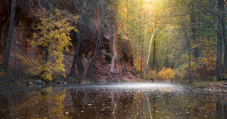 Best Picture 2022 | Arizona Highways