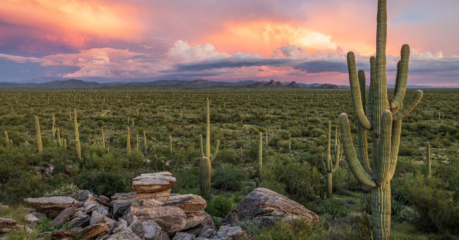 Park Link Drive | Arizona Highways