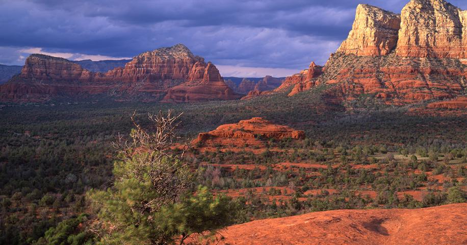 Courthouse Butte Loop | Arizona Highways