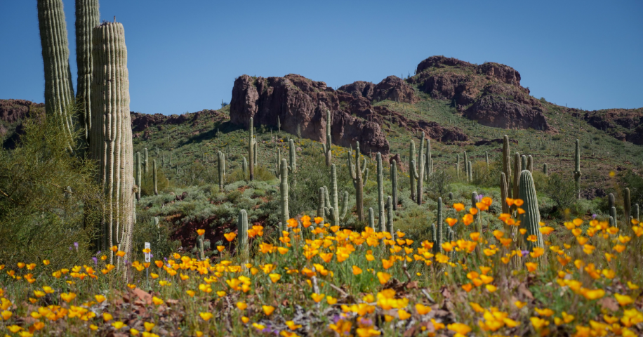 Explore Pinal County! | Arizona Highways