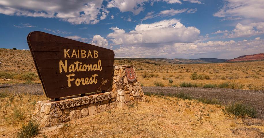 The Story Behind the Signs | Arizona Highways