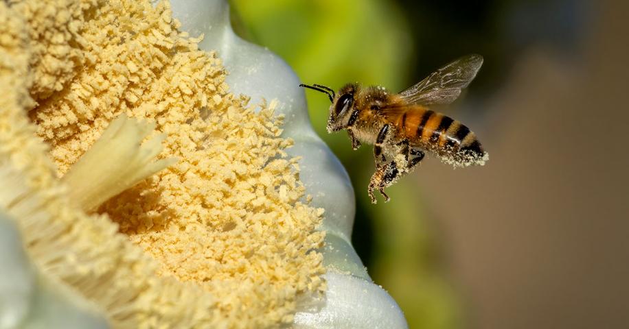 Q&A: Bruce D. Taubert | Arizona Highways