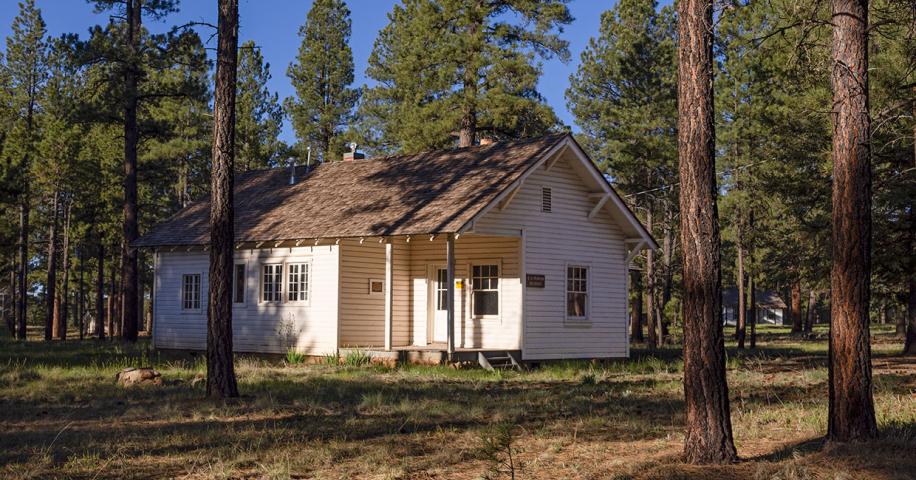 Fort Valley Experimental Forest | Arizona Highways