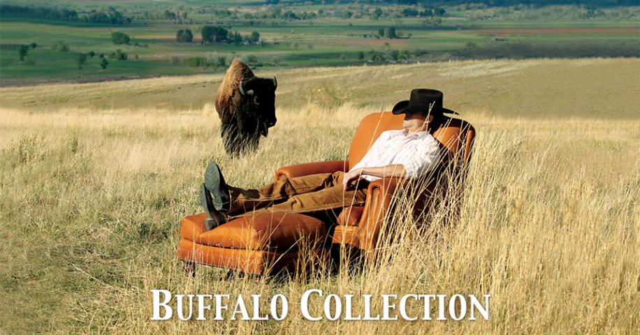 Buffalo Collection Gallery | Arizona Highways