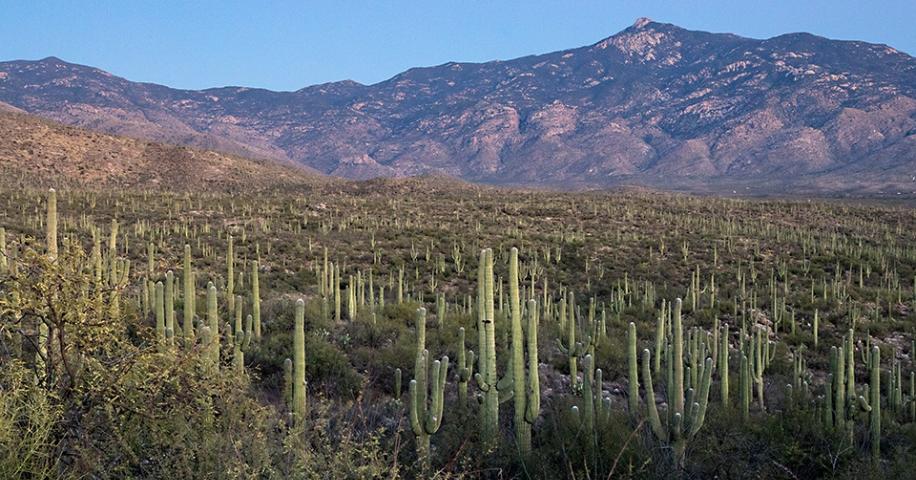 Hope Camp Trail | Arizona Highways