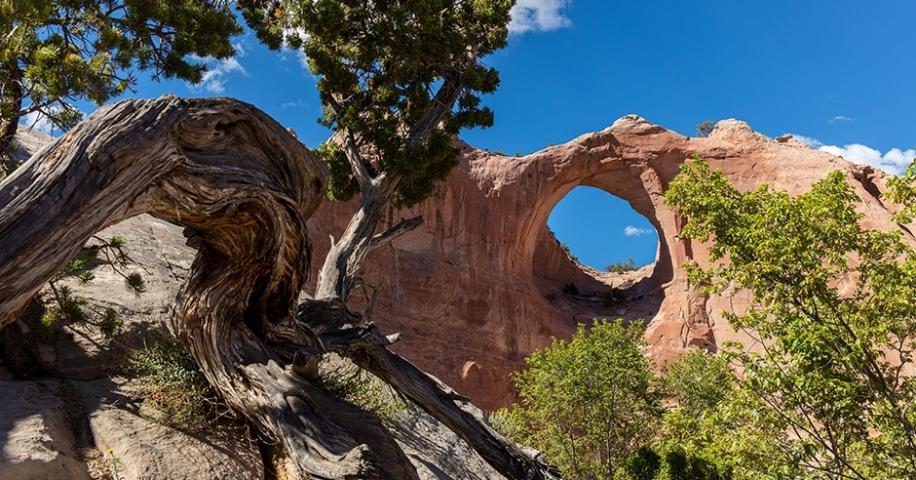 Lupton to Chinle | Arizona Highways