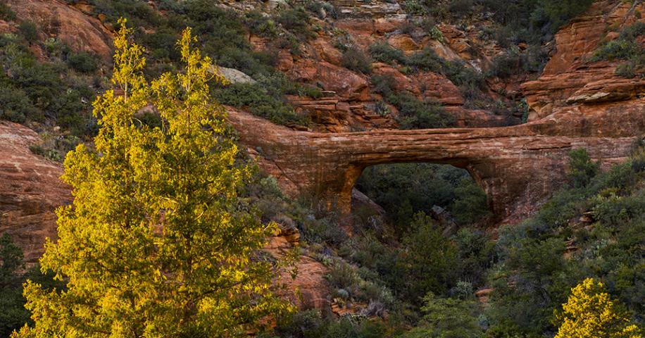 Sterling Pass-Vultee Arch Trail | Arizona Highways