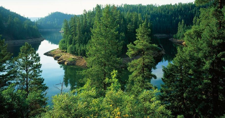 Blue Ridge Campground | Arizona Highways