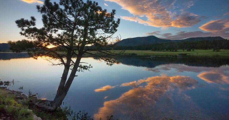 Luna Lake Campground | Arizona Highways