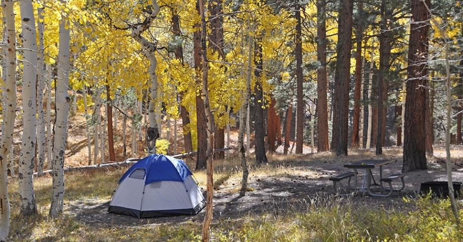 North Rim Campground | Arizona Highways