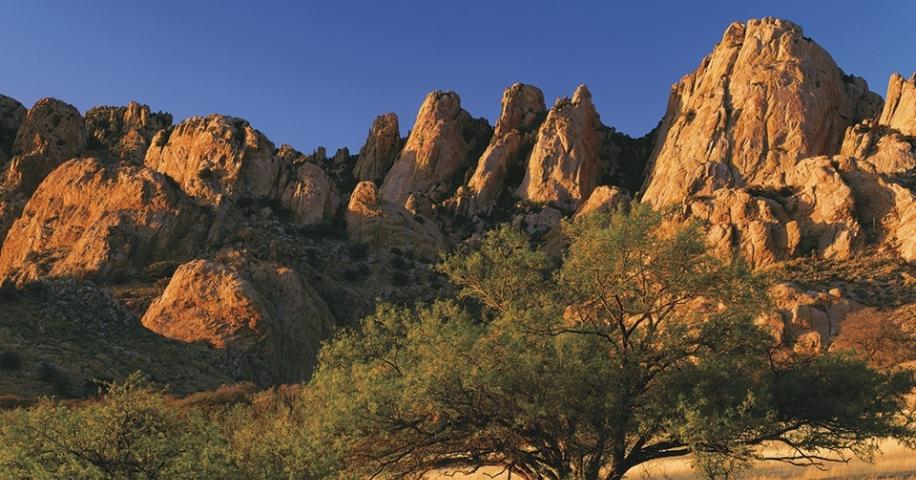 Cochise Stronghold Campground | Arizona Highways