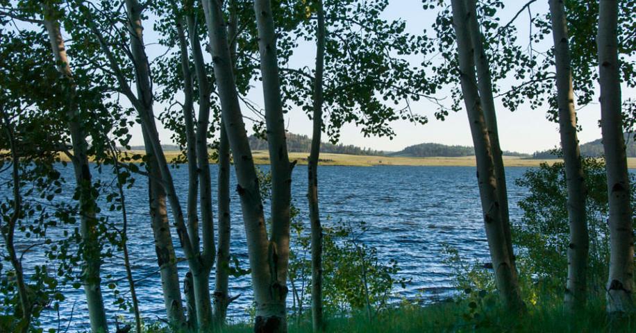 Eagar to Big Lake | Arizona Highways