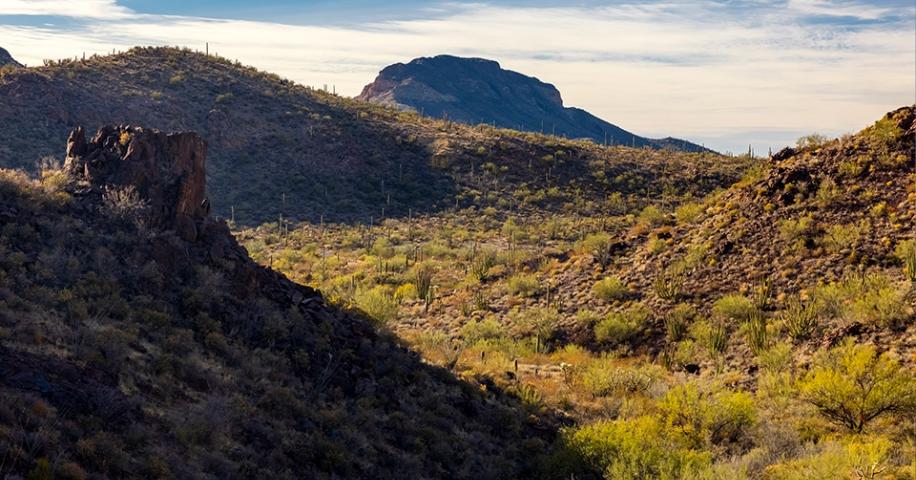 Estes Canyon-Bull Pasture Loop | Arizona Highways