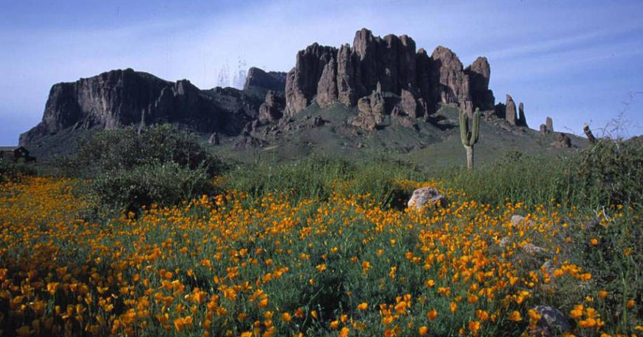 Arizona State Parks | Arizona Highways
