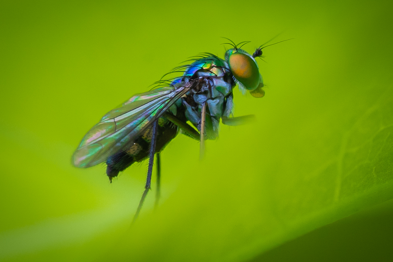 Photo Contest | Arizona Highways